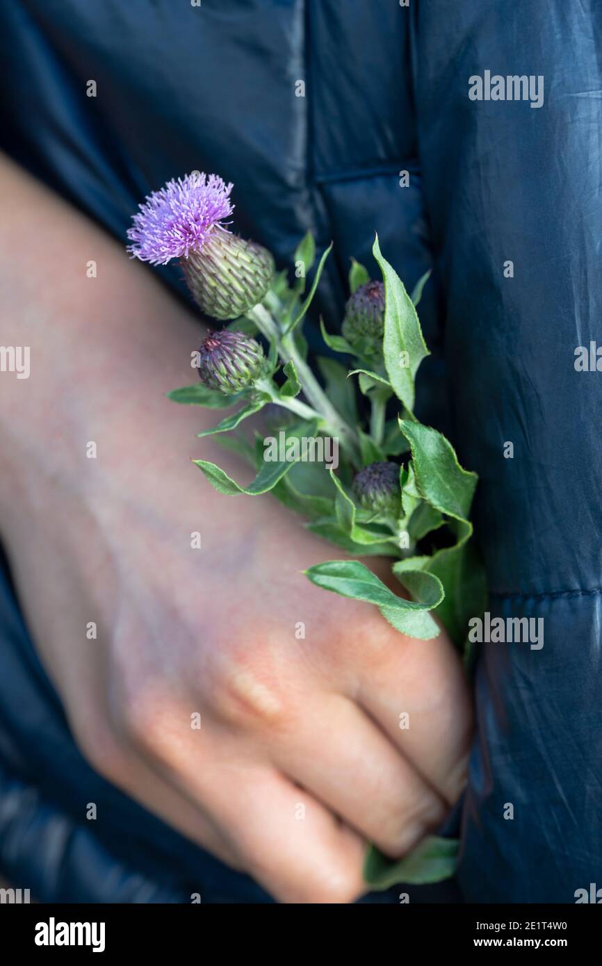 Childs hands flowers bouquet hi-res stock photography and images - Alamy