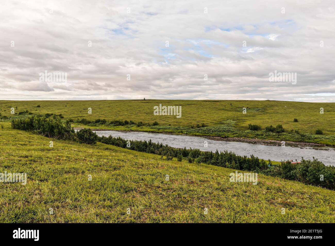 Tundra in the Polar Urals. Summer landscape in a natural park in Yamal ...