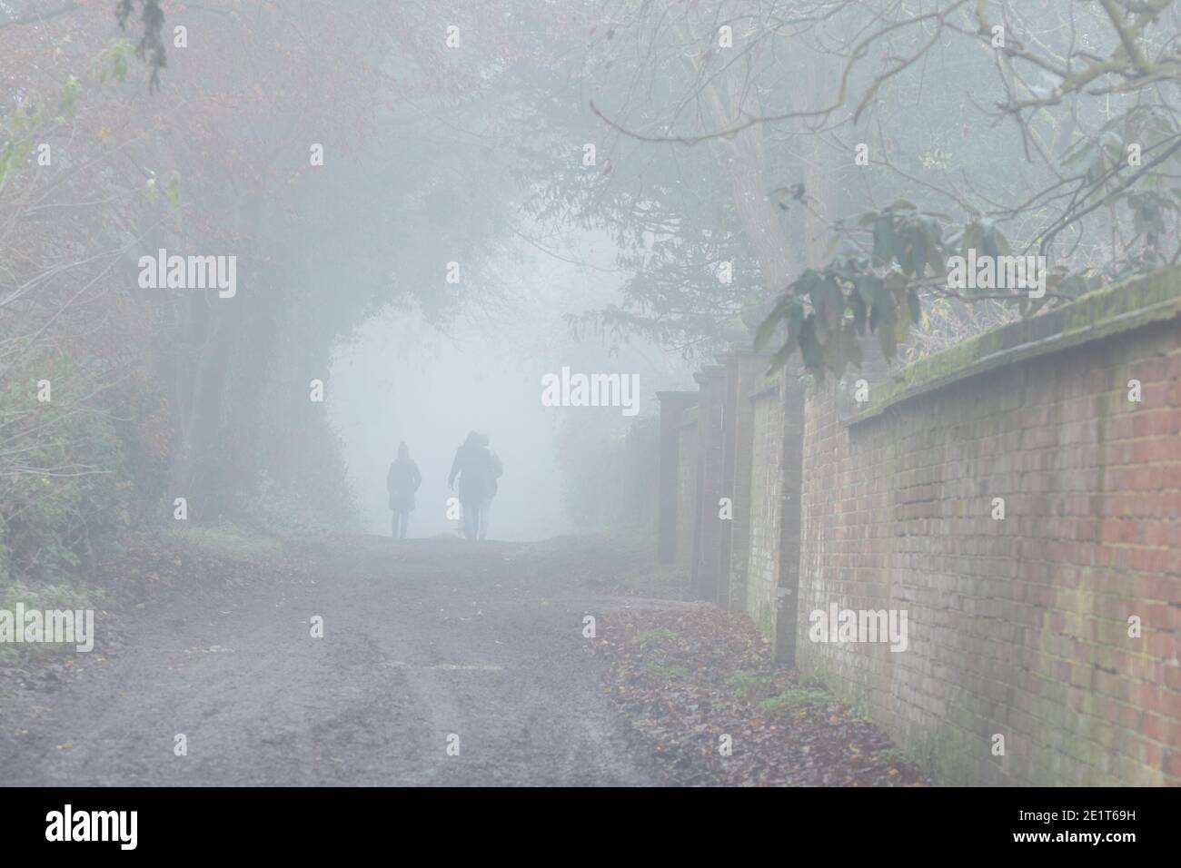 Seasons of mist hi-res stock photography and images - Alamy