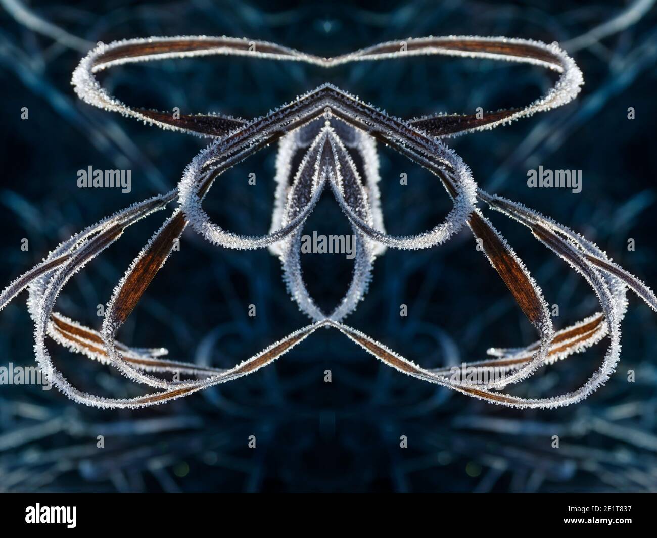 Frosting texture hi-res stock photography and images - Alamy
