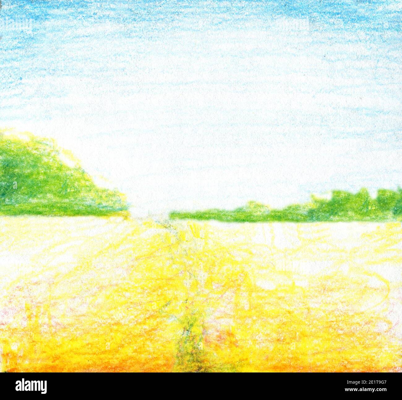 Hand drawn meadow in the summer bright day. Nature background Stock ...