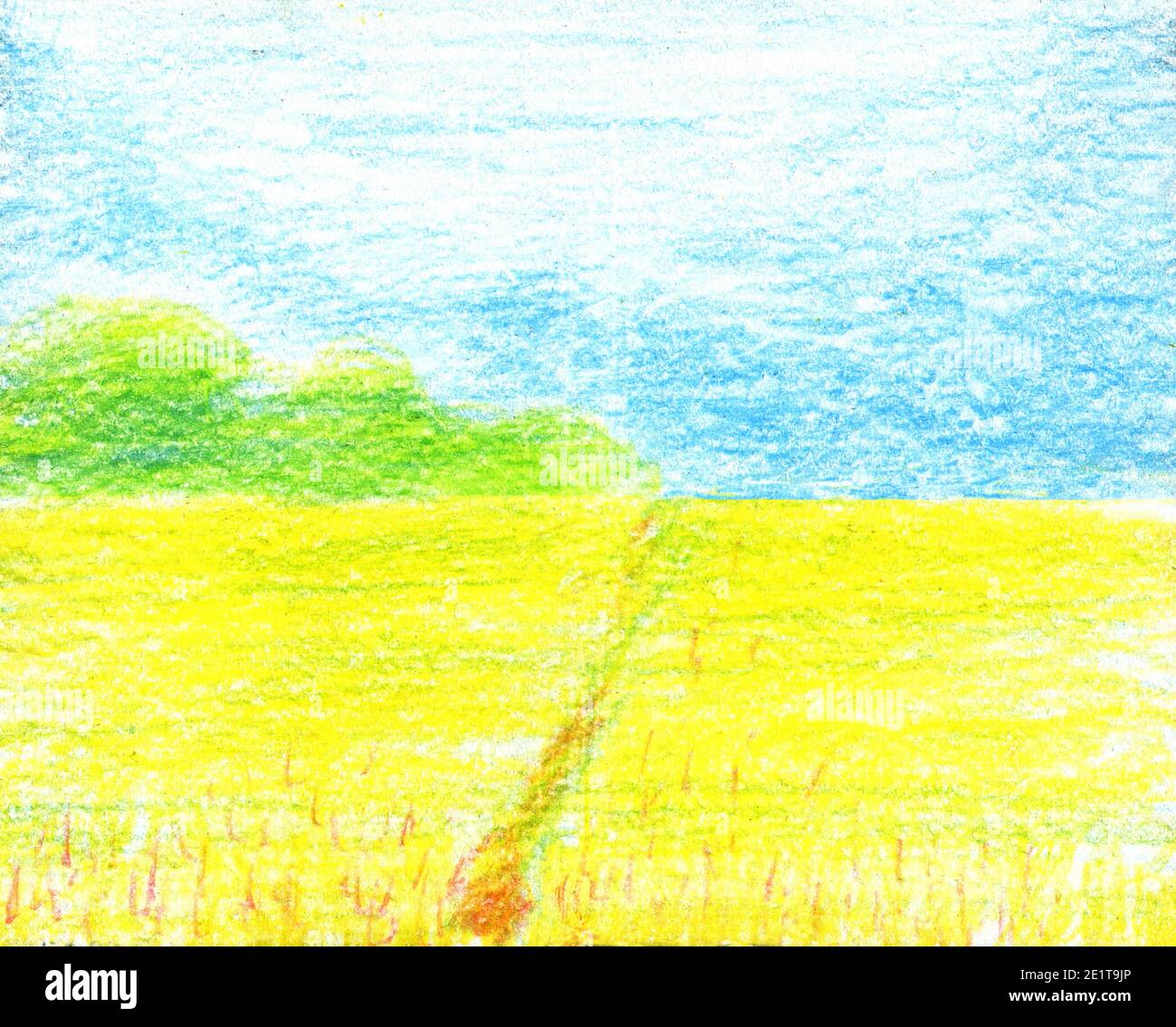 Hand drawn meadow in the summer bright day. Nature background Stock ...