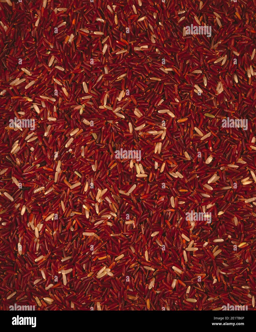 Still life large format archive hi-res stock photography and images - Alamy