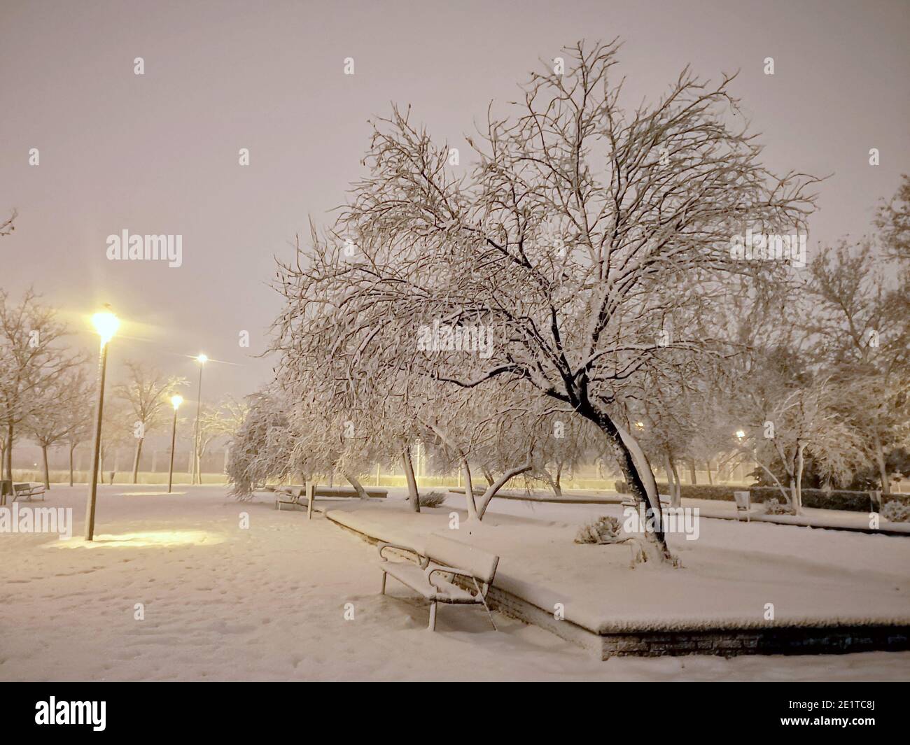 Snowstorm, blizzard on a park. Snowing in winter. January 2021 in ...