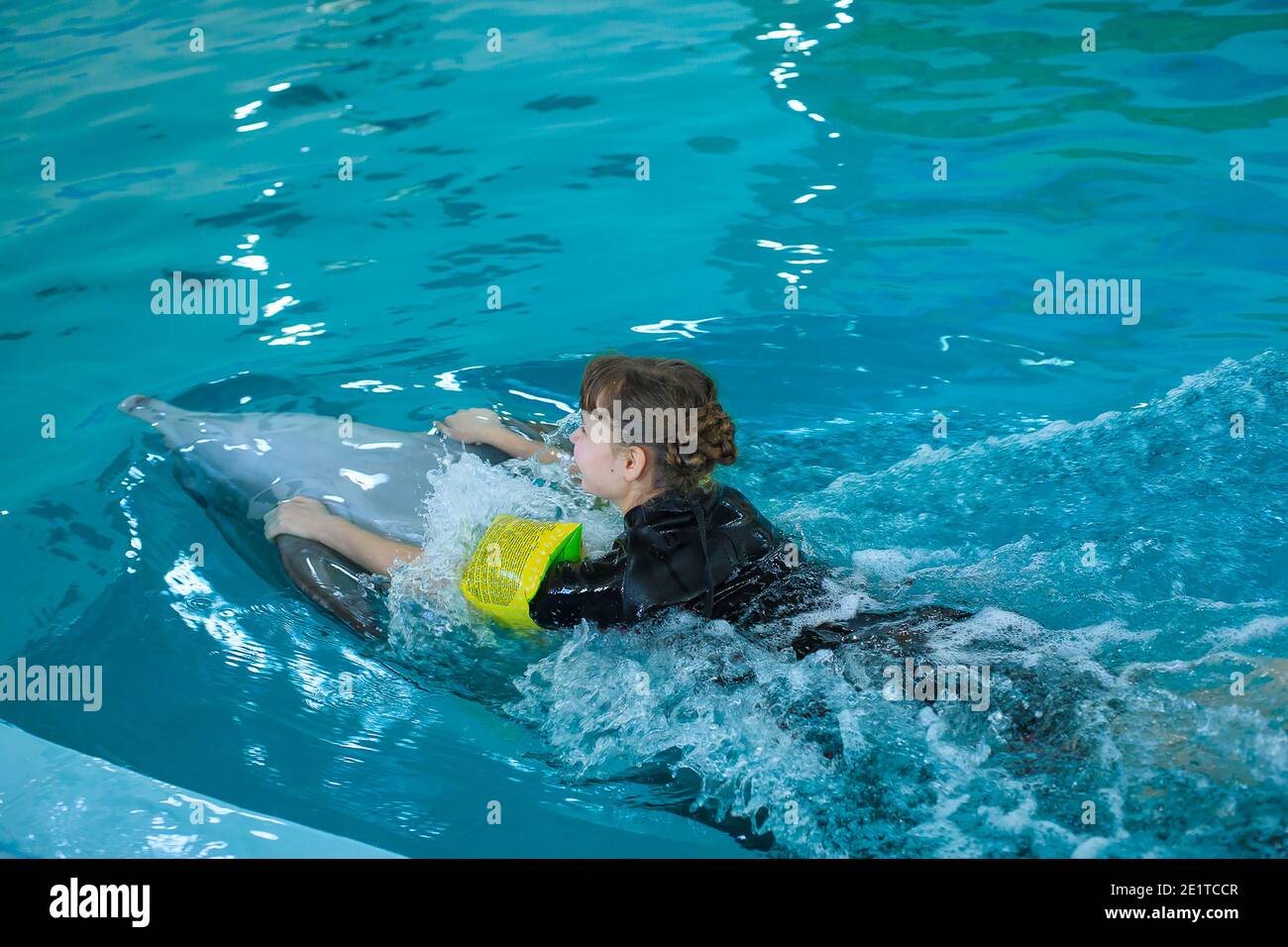 Dolphin belly hi-res stock photography and images - Alamy