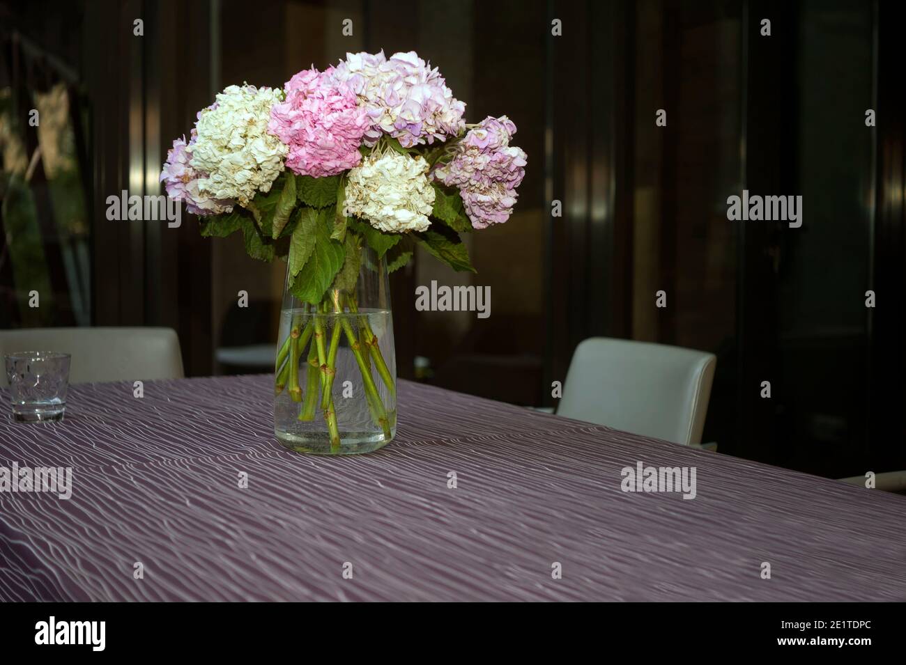 Hydrangea night hi-res stock photography and images - Alamy