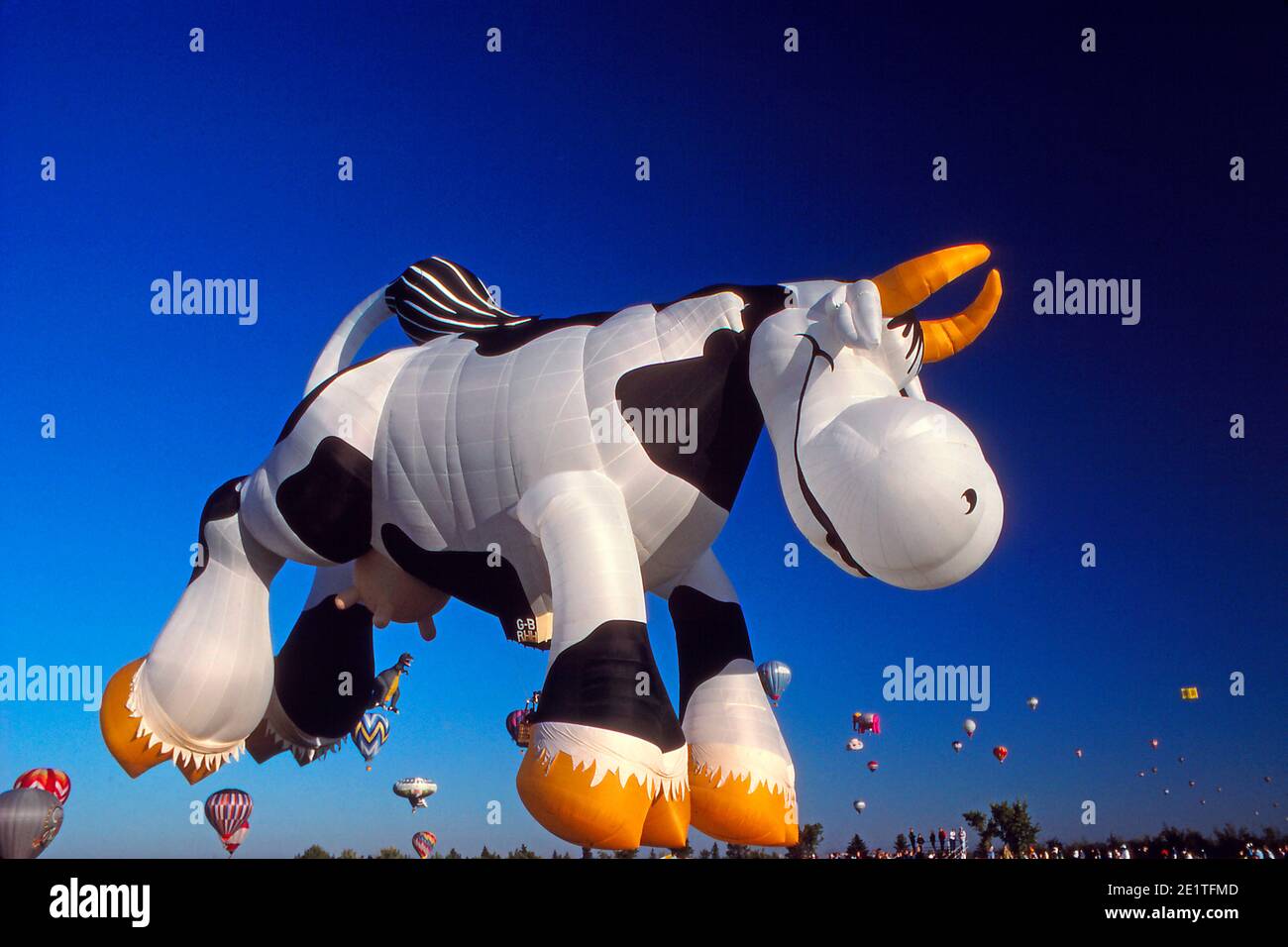 Flying cow hot air balloon hi-res stock photography and images - Alamy