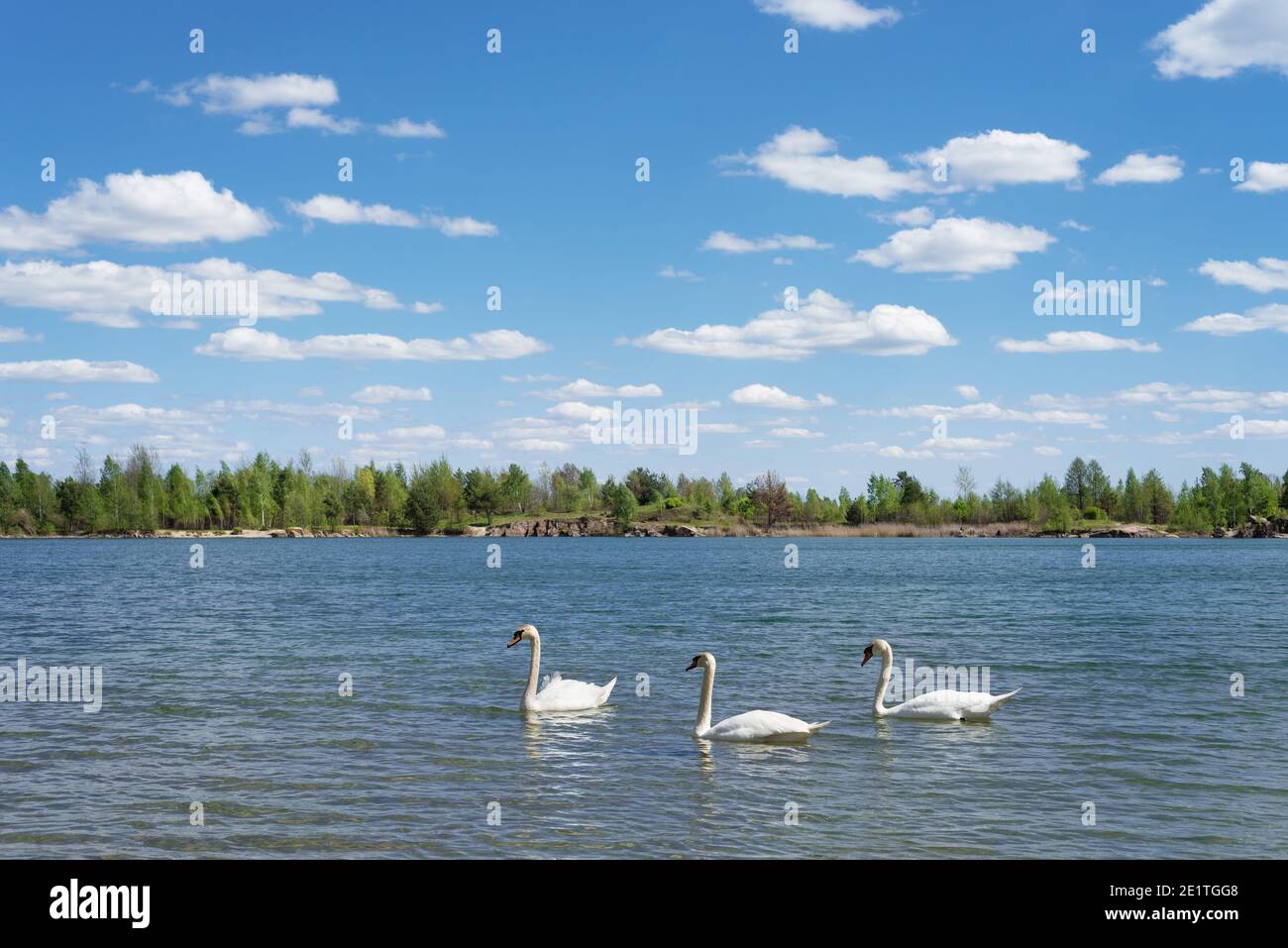 Lake fauna hi-res stock photography and images - Alamy