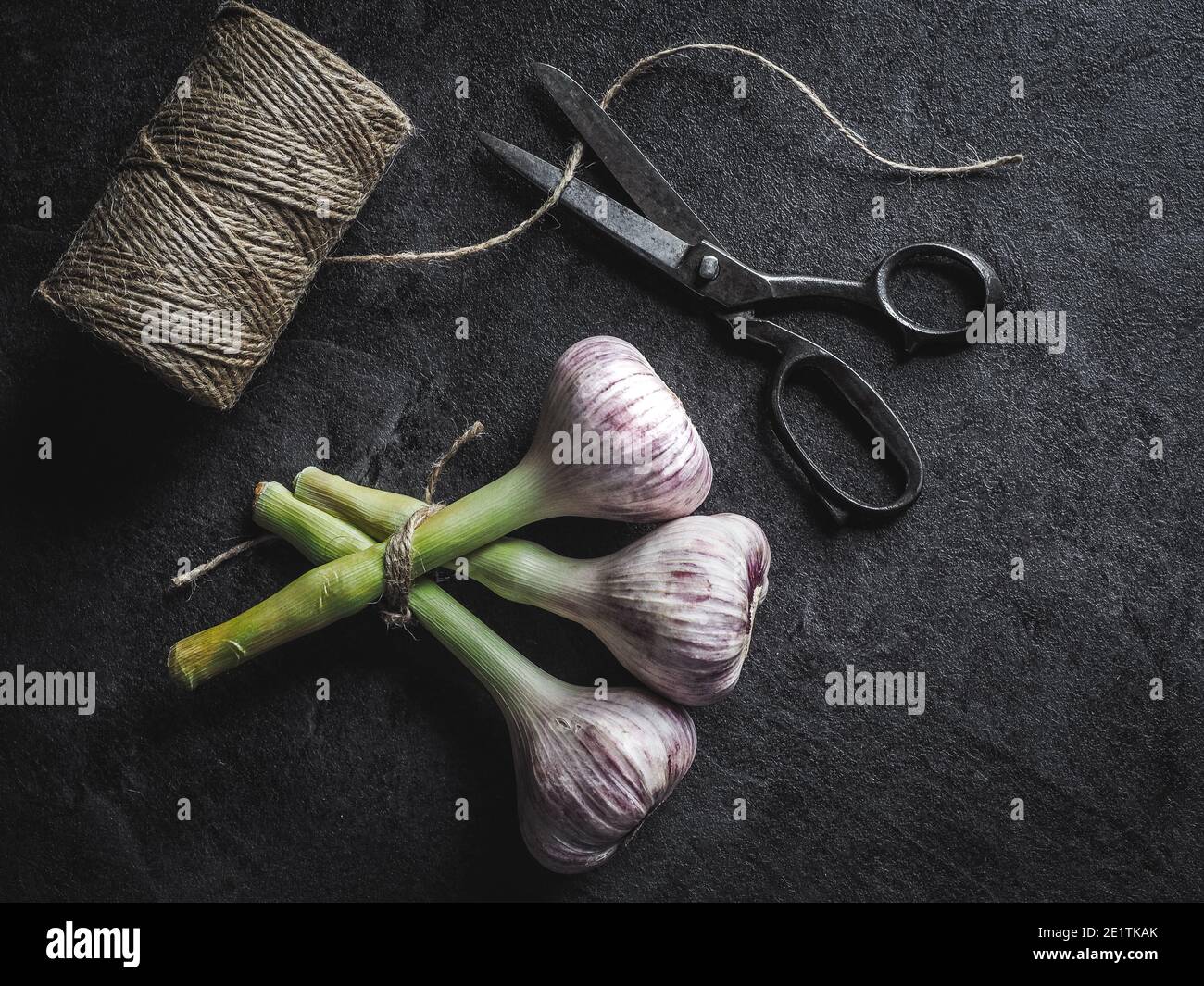 Three fresh bulbs of young garlic, vintage scissors and twine on dark ...