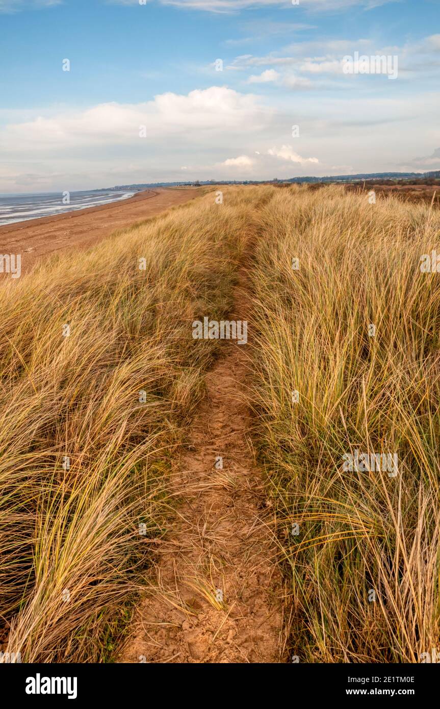 Path through long grass hi-res stock photography and images - Alamy