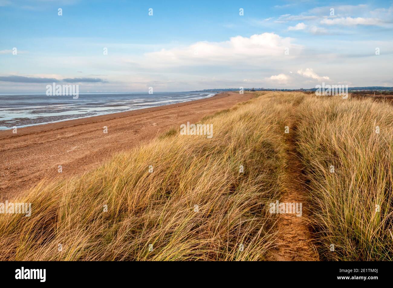 Path through long grass hi-res stock photography and images - Alamy