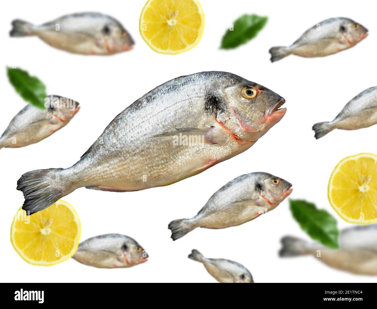 Raw dorado fish pattern hi-res stock photography and images - Alamy