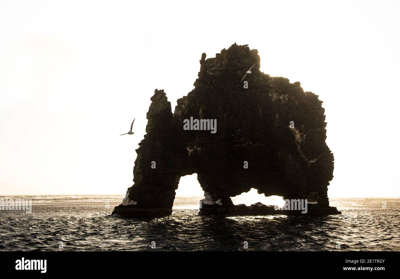 Panoramic sunrise view of Hvitserkur dragon rock formation petrified ...