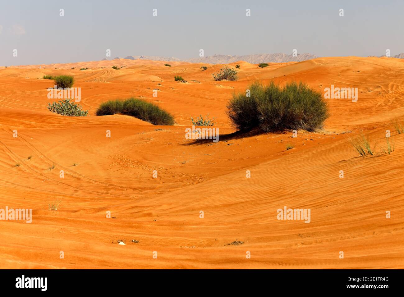 desert landscape in the United Arab Emirates Stock Photo - Alamy