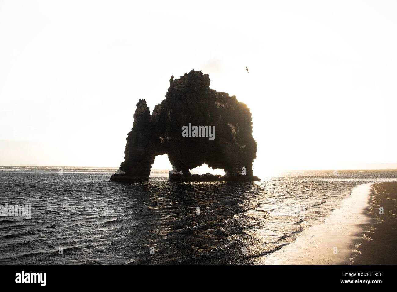 Panoramic sunrise view of Hvitserkur dragon rock formation petrified ...