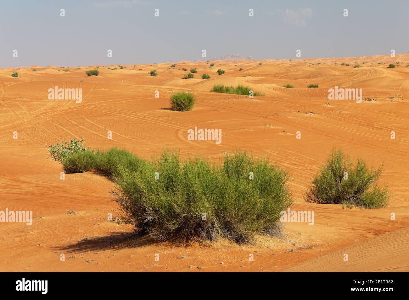 desert landscape in the United Arab Emirates Stock Photo - Alamy