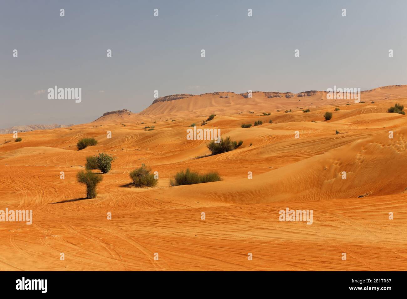 desert landscape in the United Arab Emirates Stock Photo - Alamy