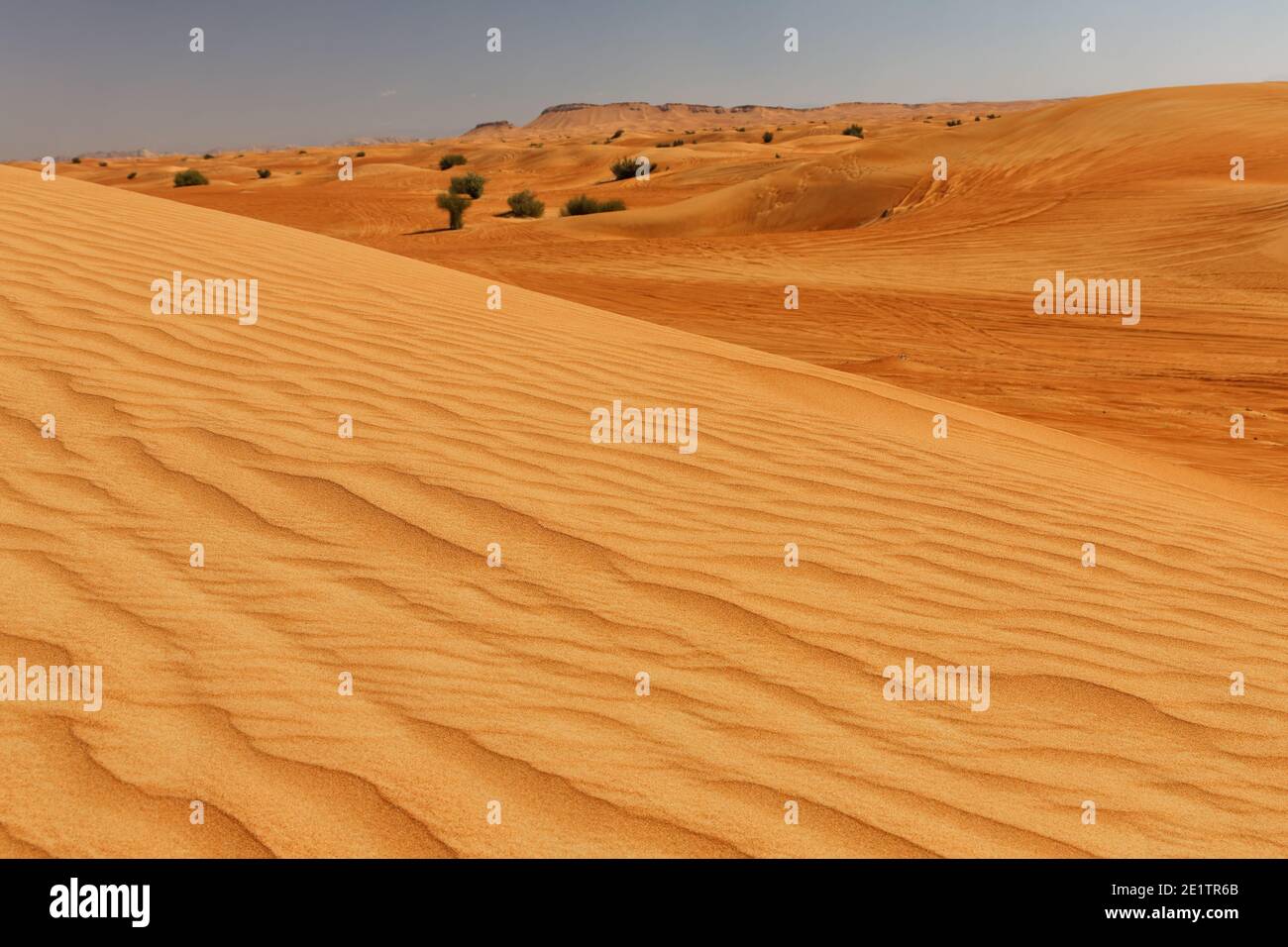 desert landscape in the United Arab Emirates Stock Photo - Alamy