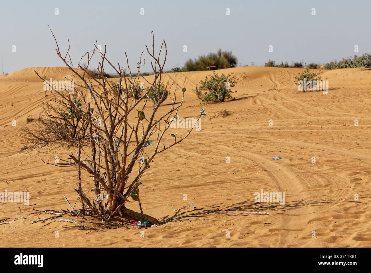desert landscape in the United Arab Emirates Stock Photo - Alamy