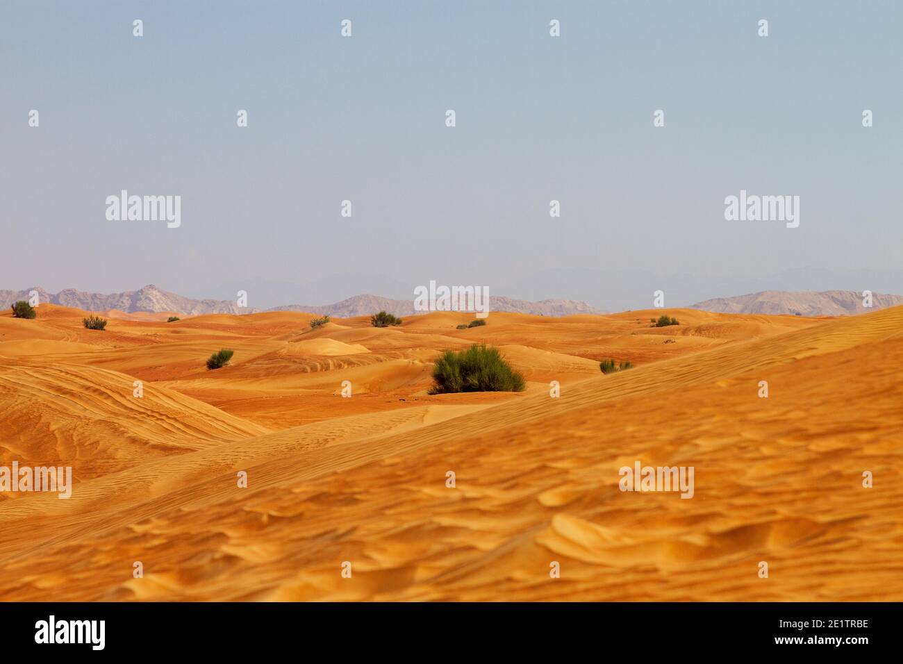 desert landscape in the United Arab Emirates Stock Photo - Alamy
