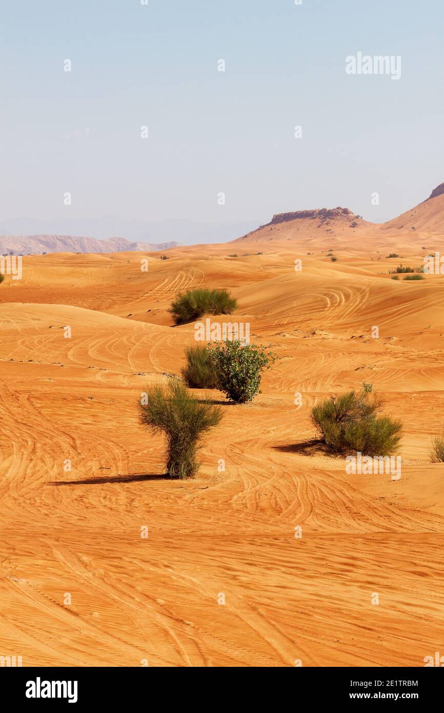 desert landscape in the United Arab Emirates Stock Photo - Alamy