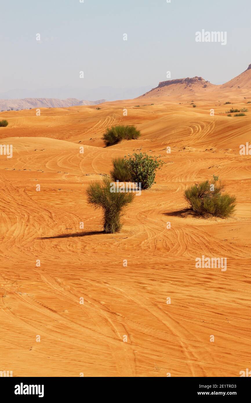 desert landscape in the United Arab Emirates Stock Photo - Alamy