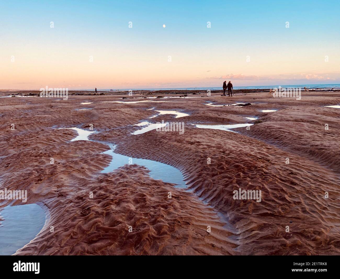 Pett Level Beach at Sunset. With pool of sea ocean water and rocks in ...