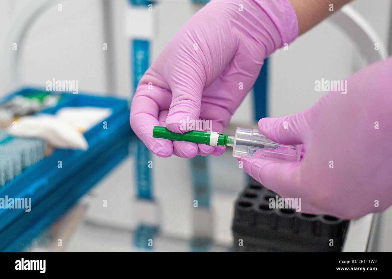 Medical test tube in pink rubber gloves. The clinic or hospital in ...