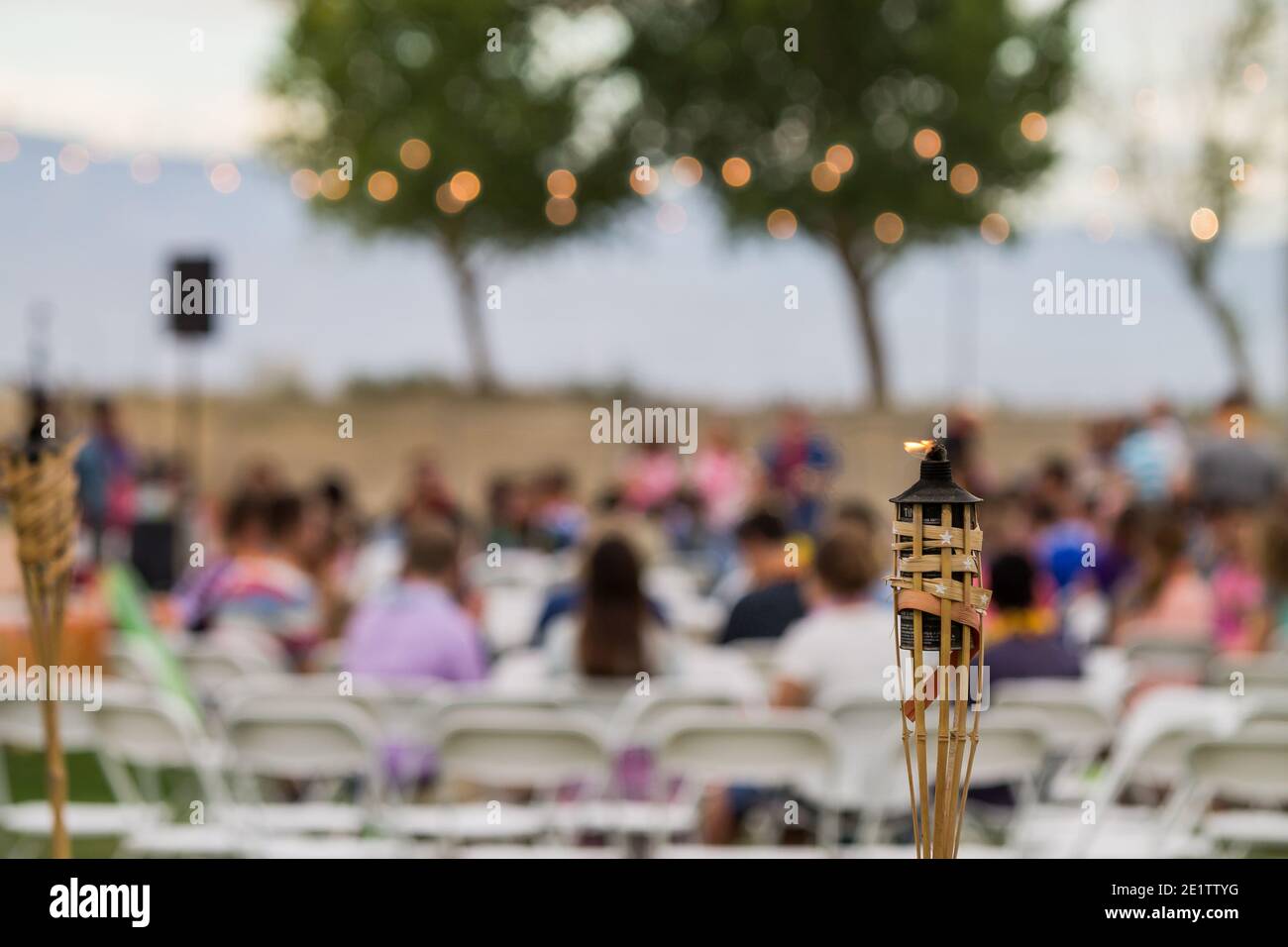 Hawaiian Luau Tiki Torch Stock Photo - Alamy