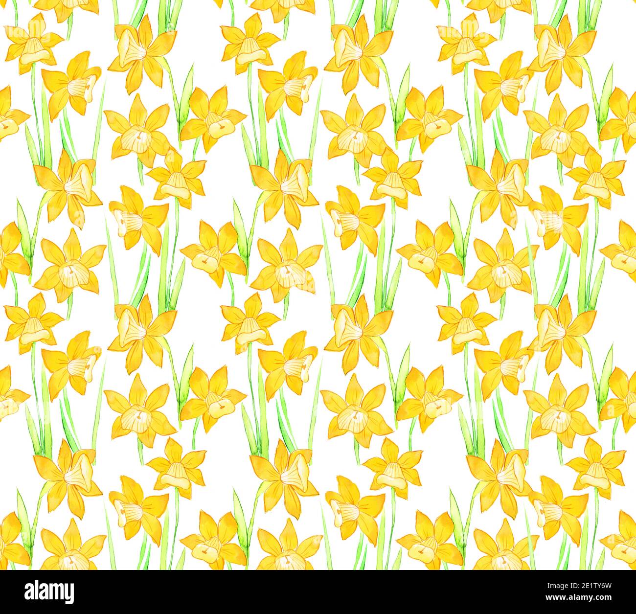 Botanical seamless pattern with yellow flowers daffodils, narcissus on ...