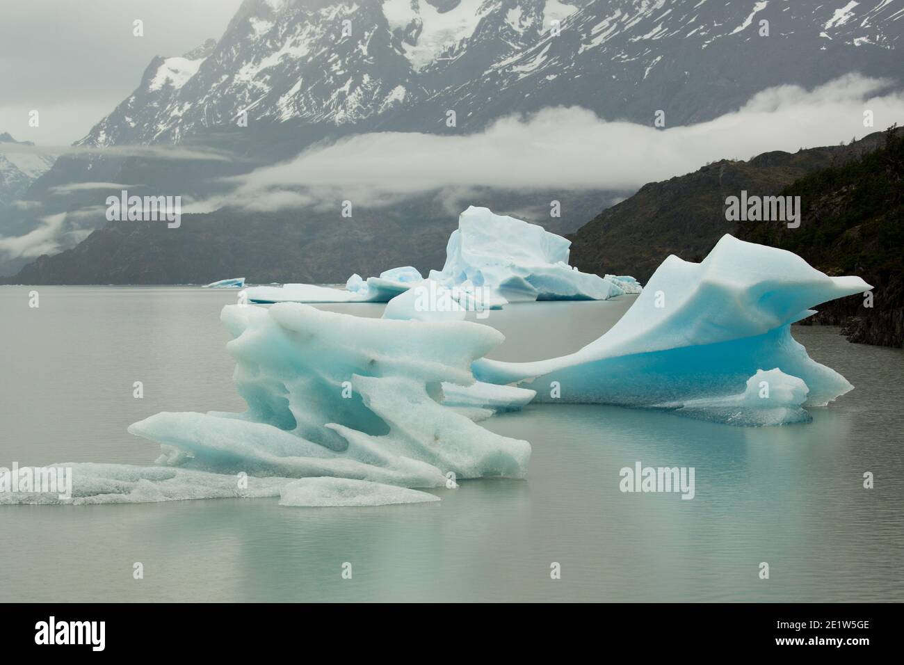Icebergs calved from Glacier Grey float in the waters of Lago Grey ...