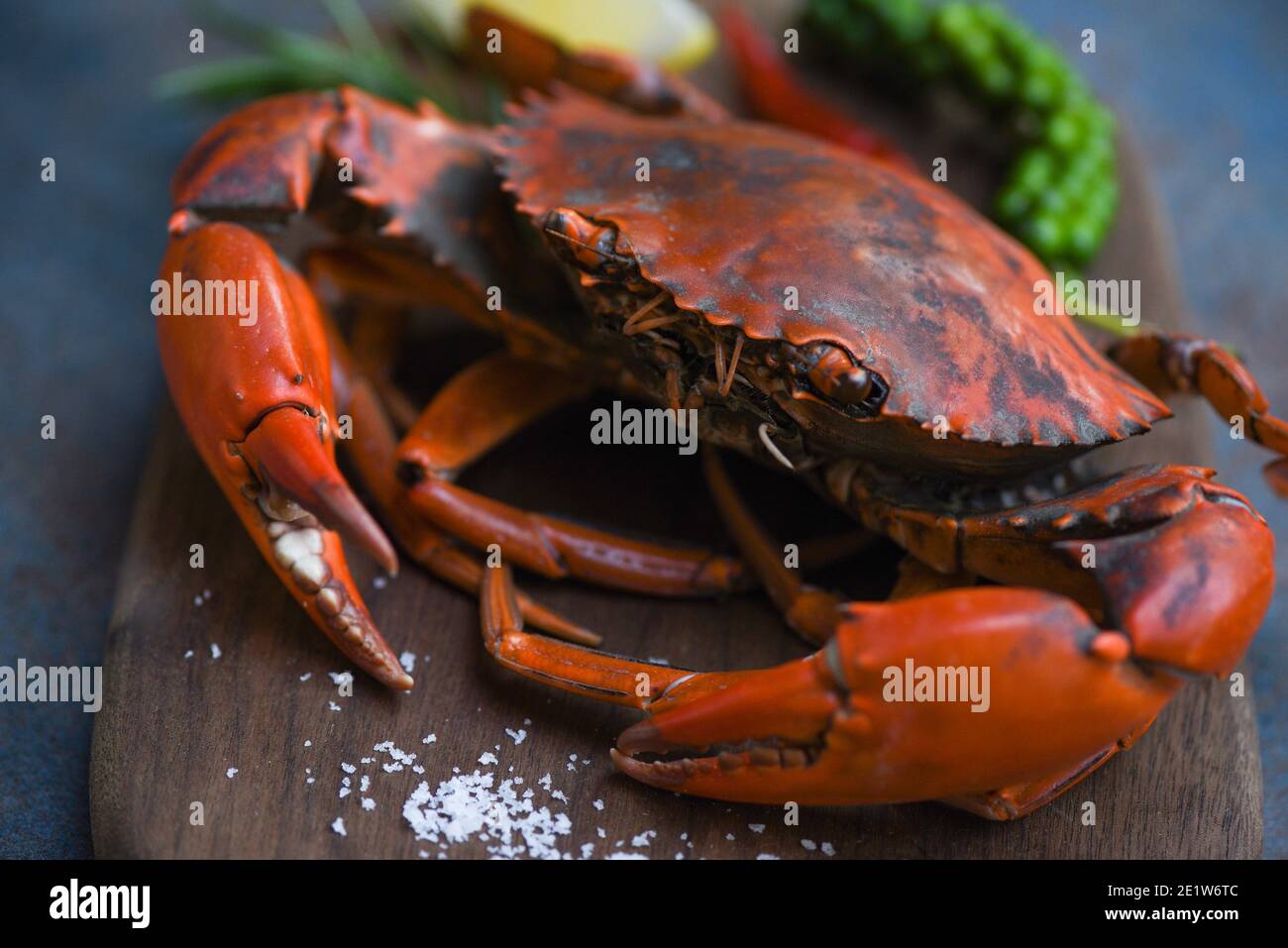 Shellfish seafood plate with steaming crab on wooden dark background ...