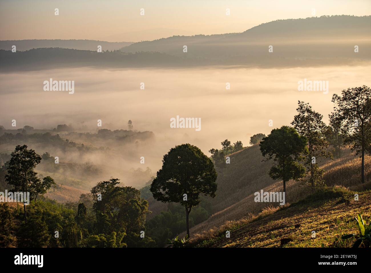 sunrise mist cover mountain background at countryside winter foggy ...