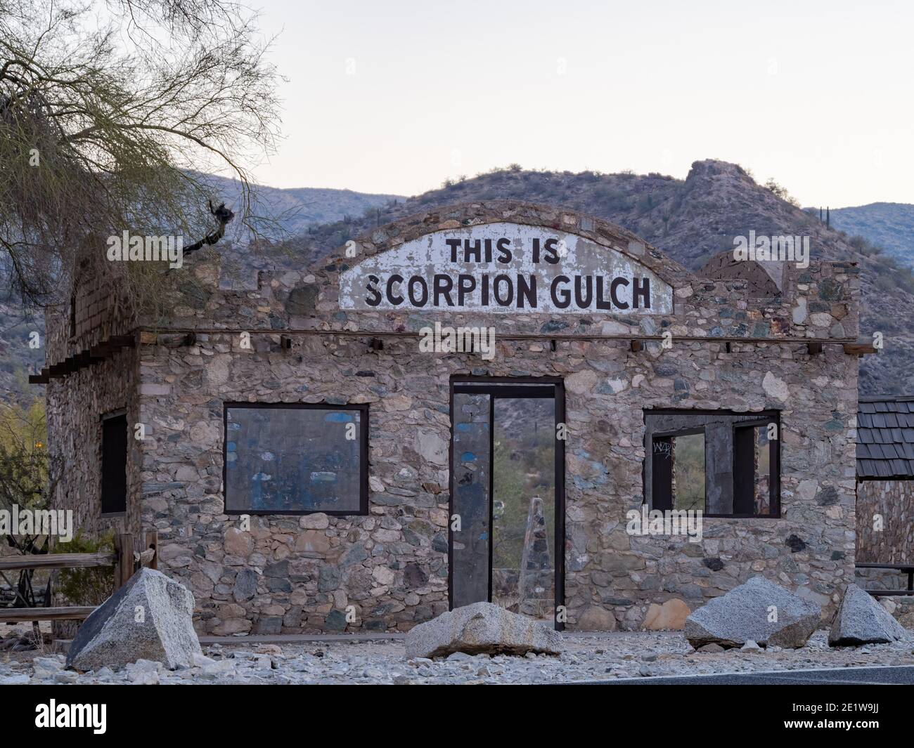 Arizona scorpion hi-res stock photography and images - Alamy