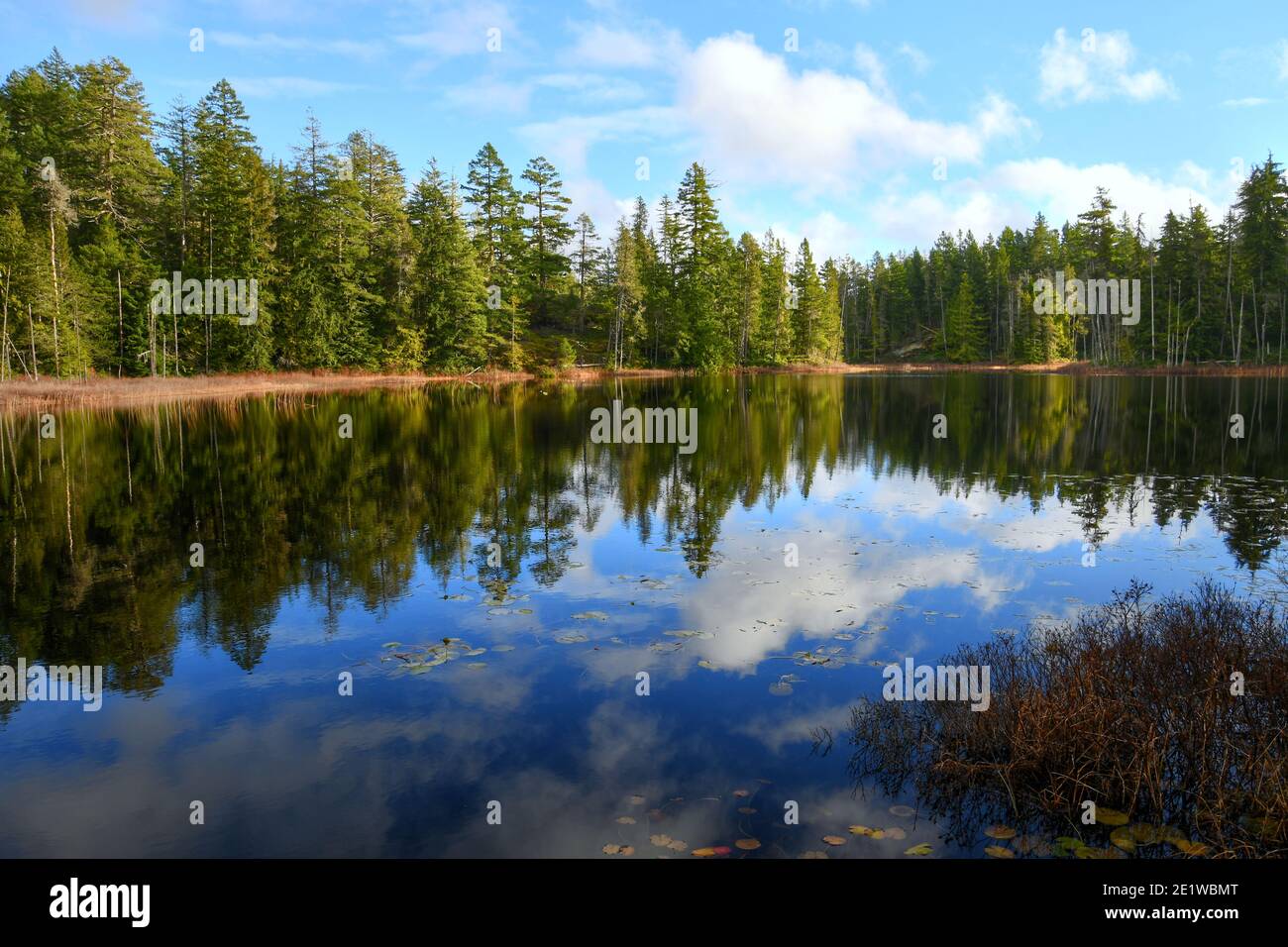 Grass Lake, Sooke Hills, Vancouver Island Stock Photo - Alamy