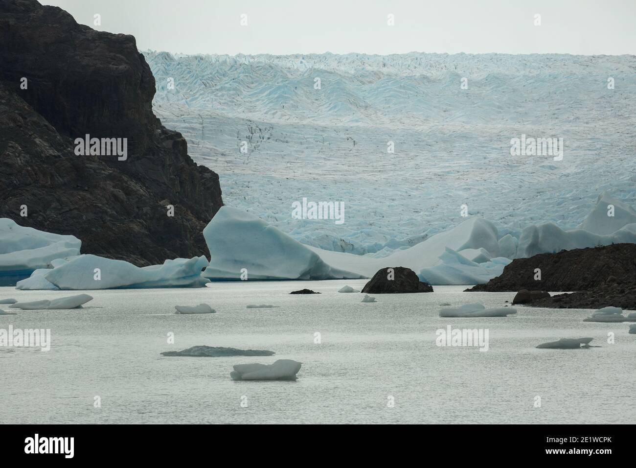 The tongue of Glacier Grey calving icebergs where it meets Lago Grey ...