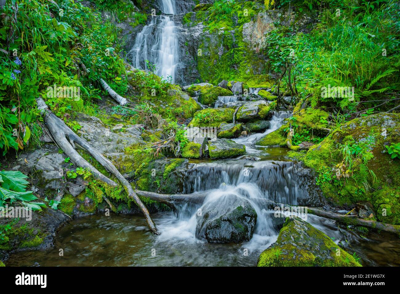 Forest stream in rainforest. Waterfall among mossy rocks and greenery ...