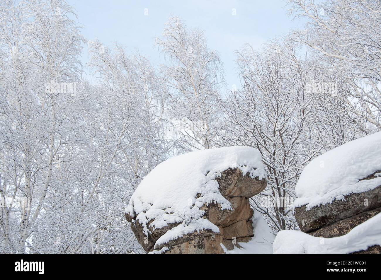 Grass covering rock hi-res stock photography and images - Alamy