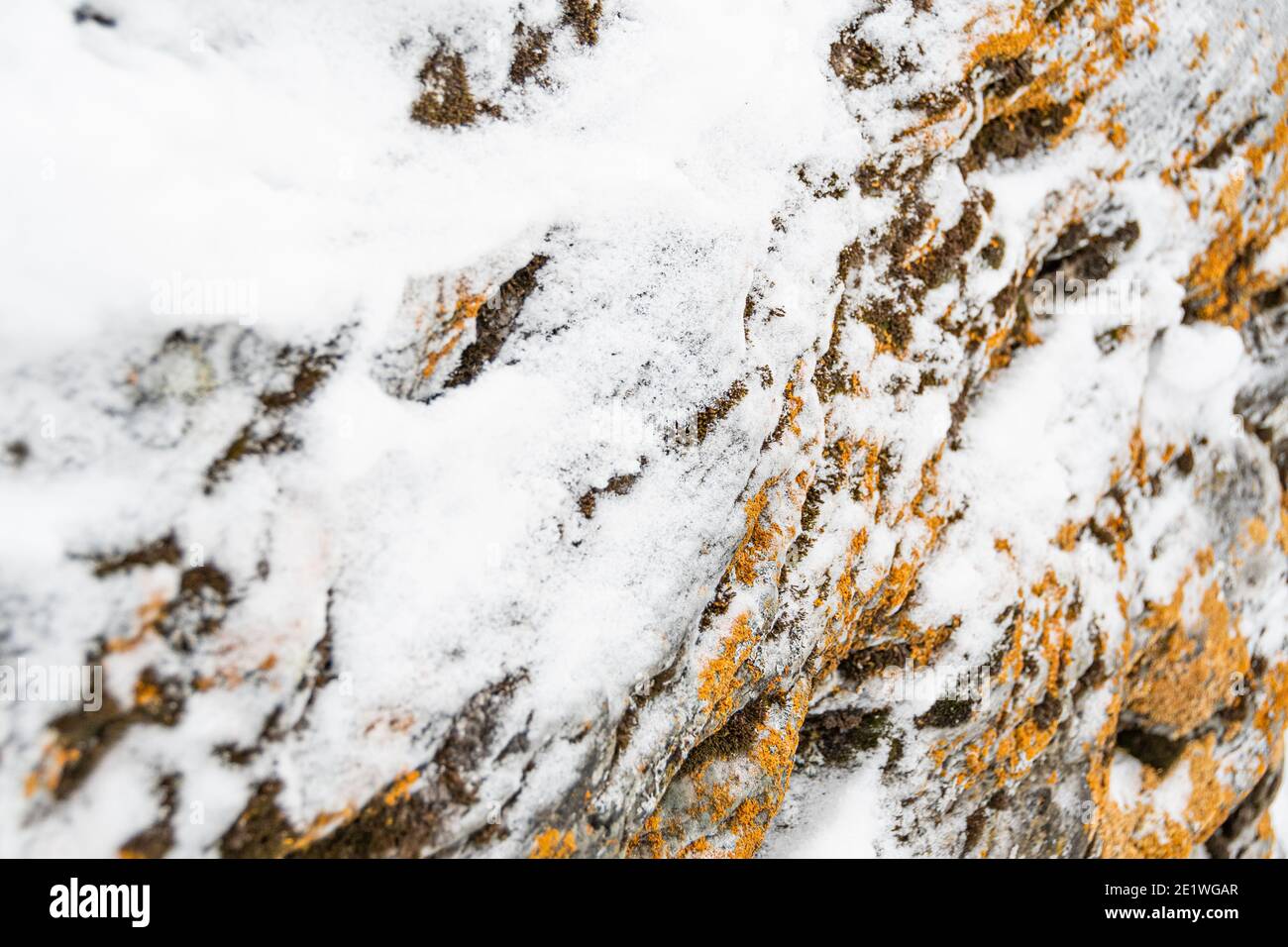 Cool wallpaper house hi-res stock photography and images - Alamy