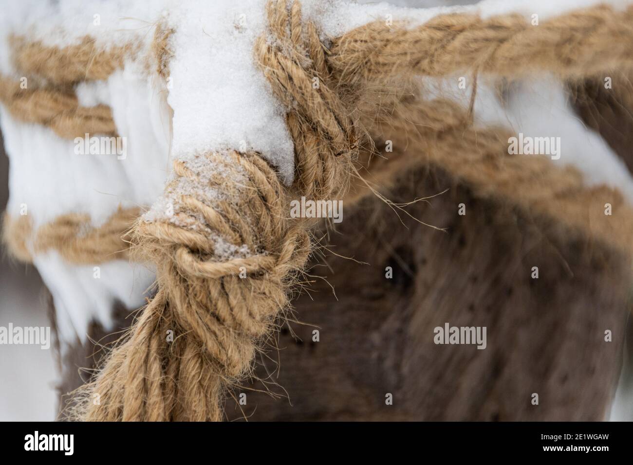 Logs are tied with rough hemp rope. Sea node for building house Stock ...