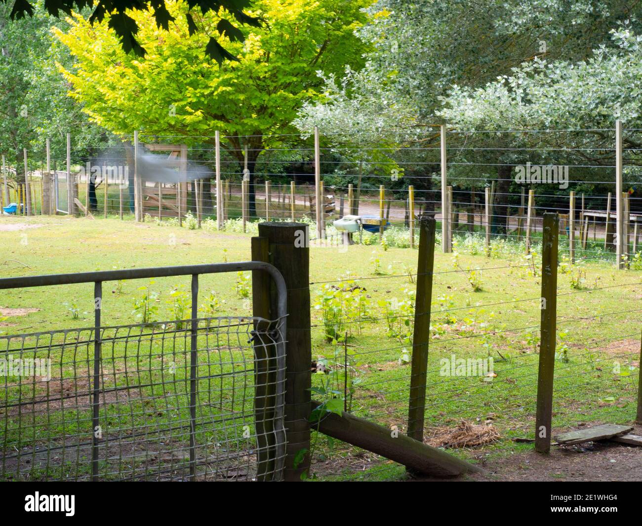 Paddock Gate And Wire Fence Stock Photo - Alamy