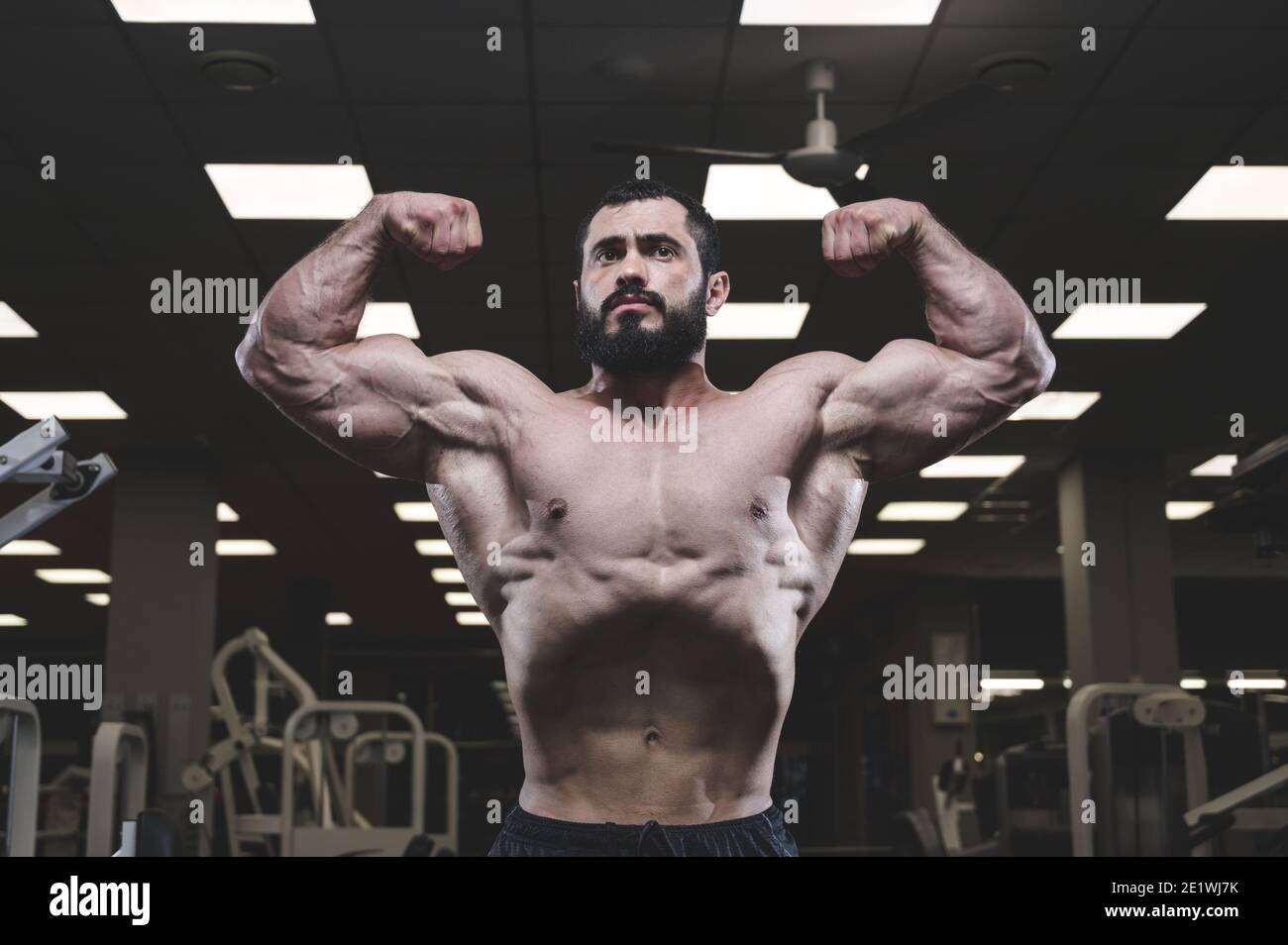 Strong powerful mighty hi-res stock photography and images - Alamy