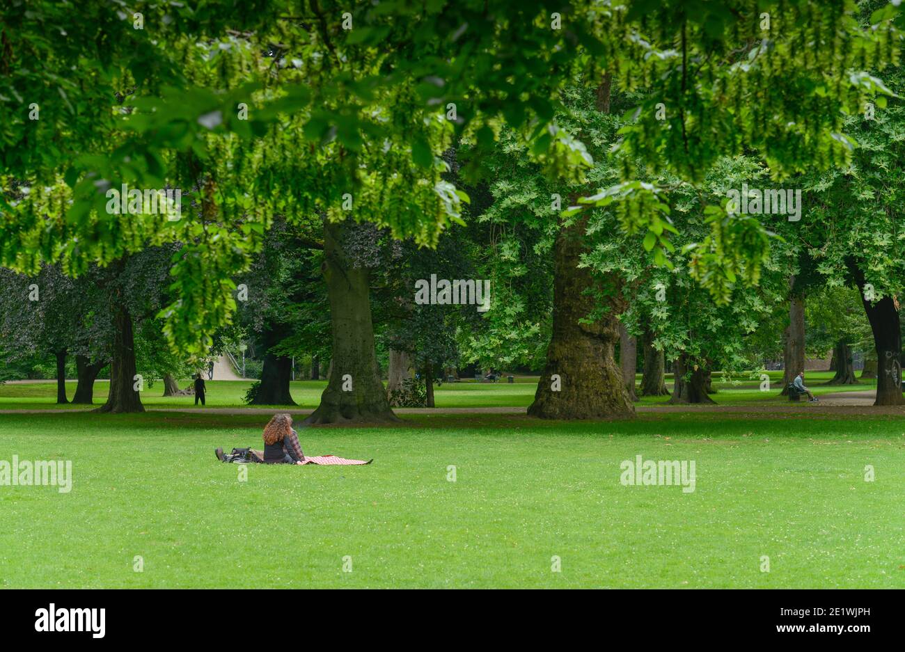 Stadtgarten köln hi-res stock photography and images - Alamy
