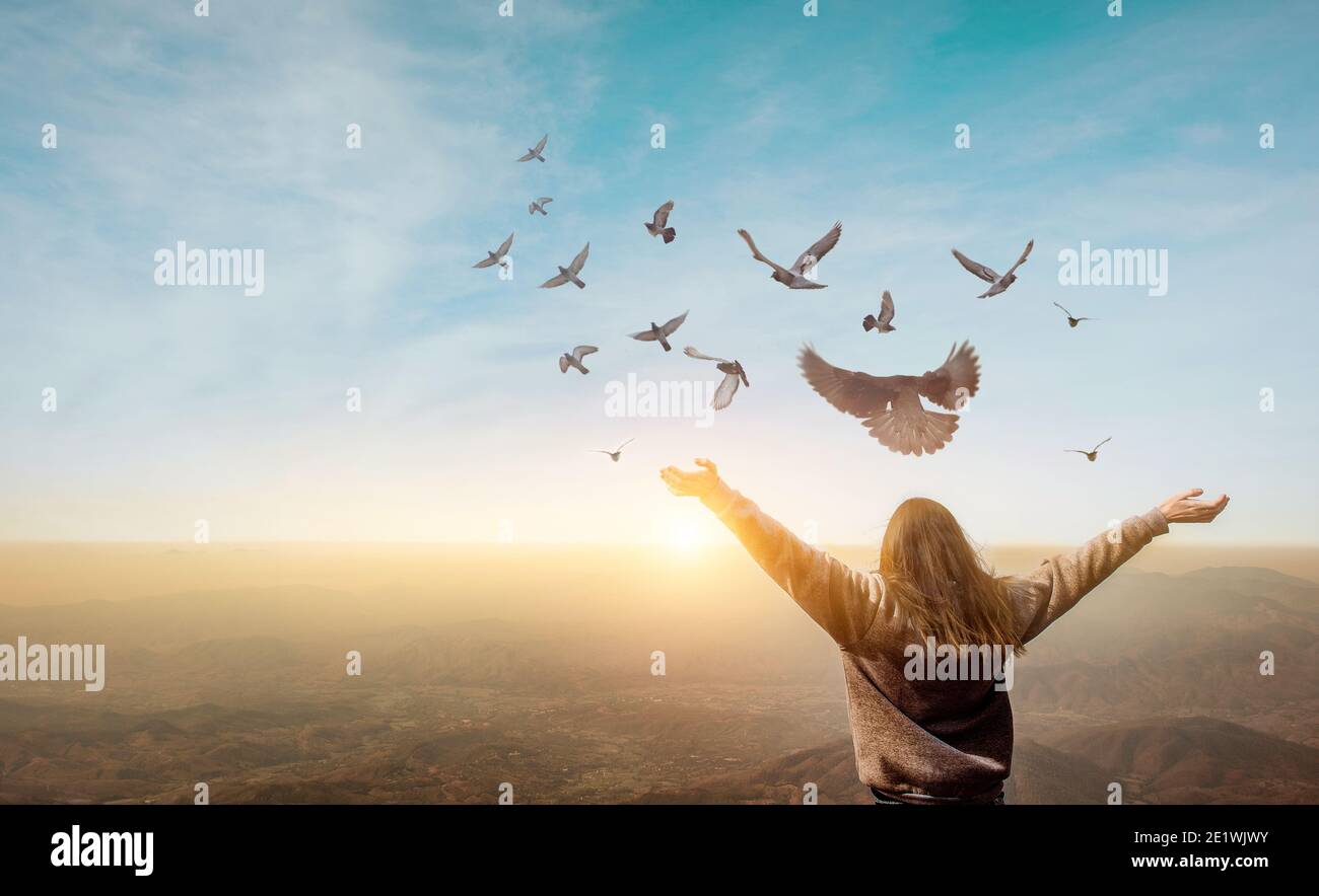 Freedom of life, free pigeon and woman enjoying nature on sunset ...