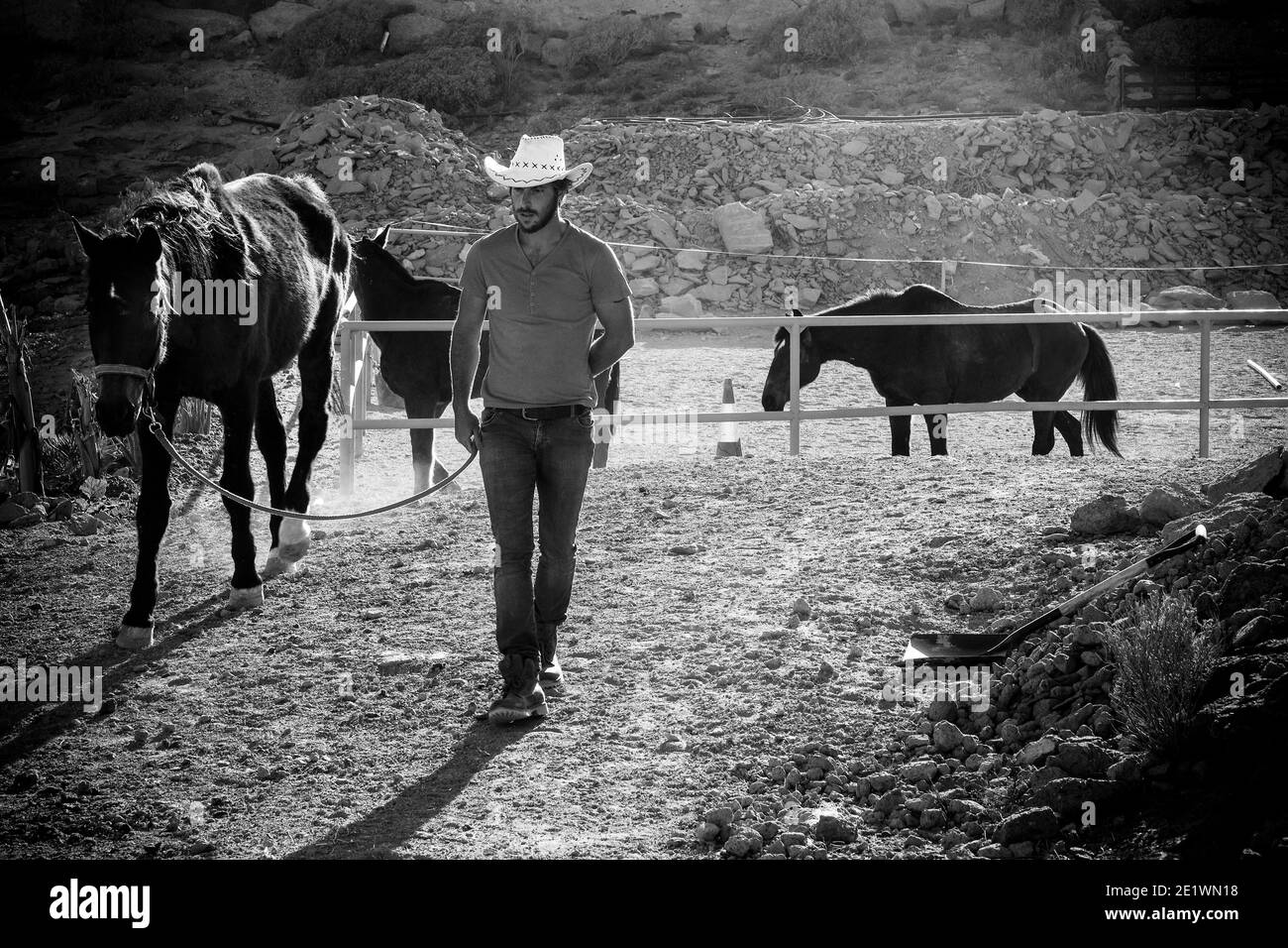 Cowboy lifestyle man work with horses animals in outdoor Stock Photo ...