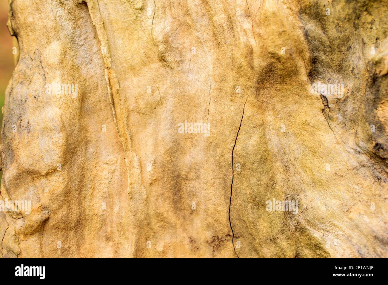 Texture is the feel, appearance or consistency of a surface or ...