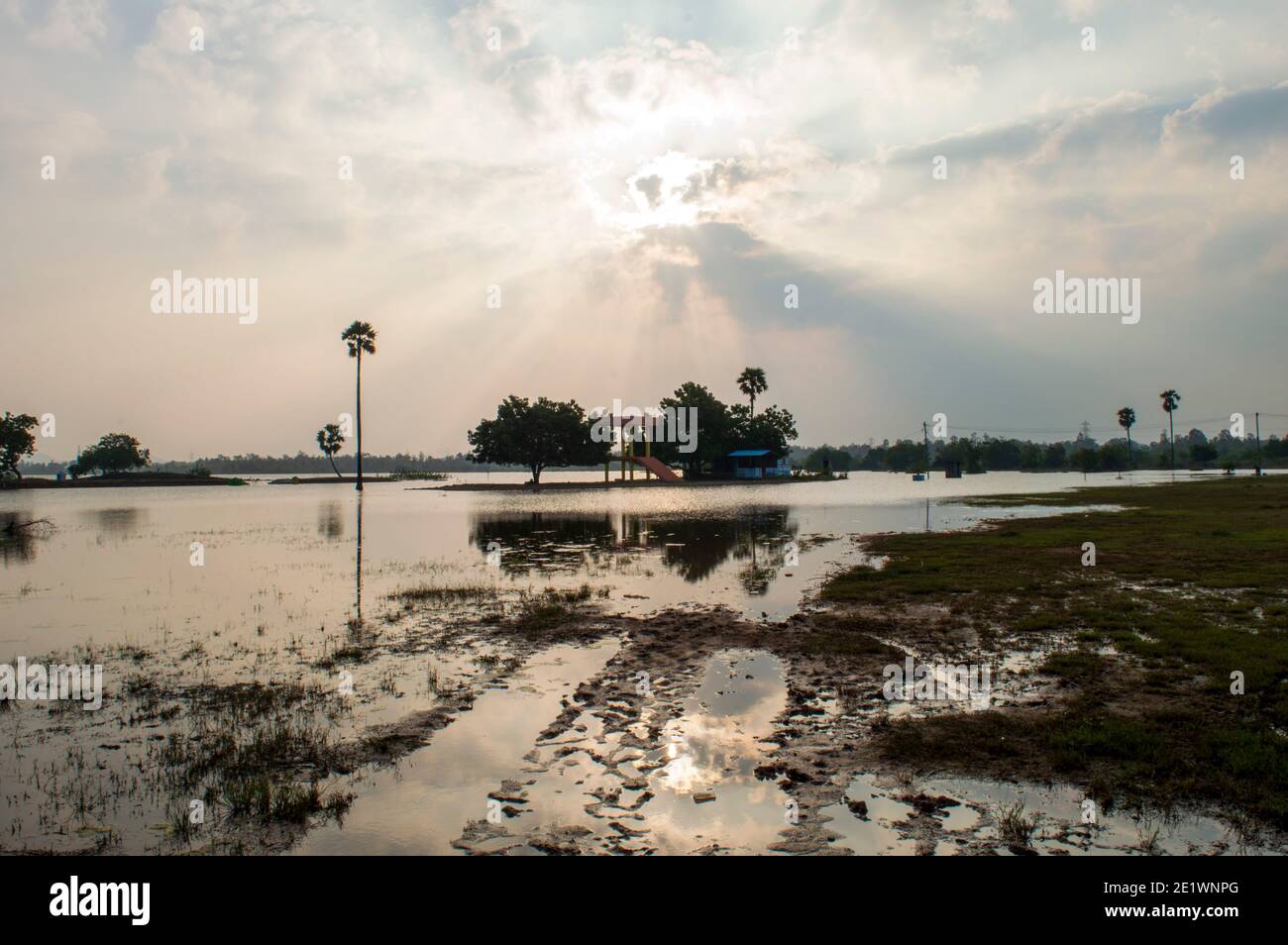 flooded fields lead to abnormal plant growth. It limits oxygen and ...