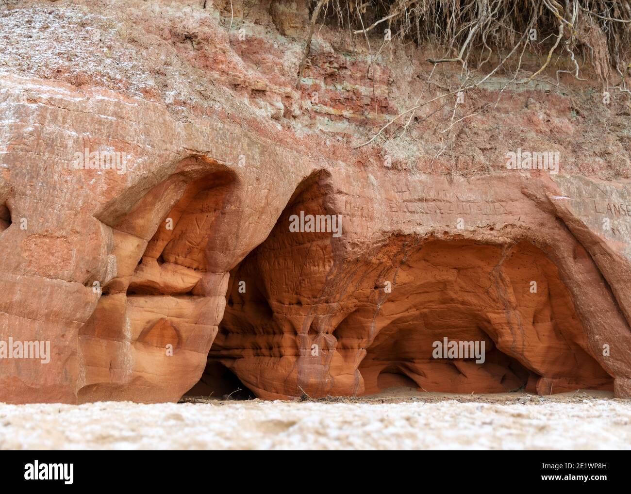 Sea cliff with Devonian sandstone outcrops. During the storm, niches ...