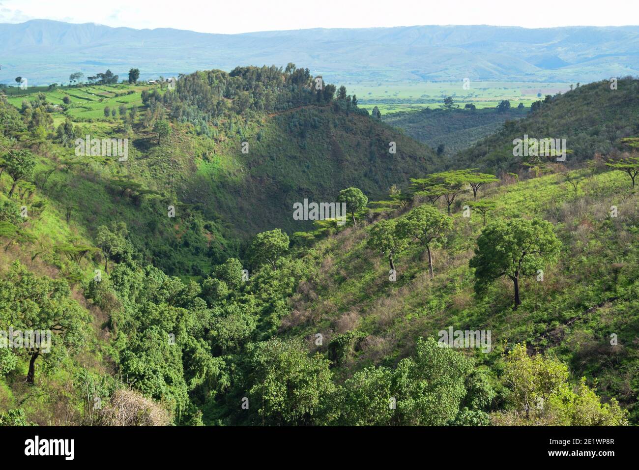 Scenic mountain landscapes in Aberdare Ranges, Kenya Stock Photo - Alamy