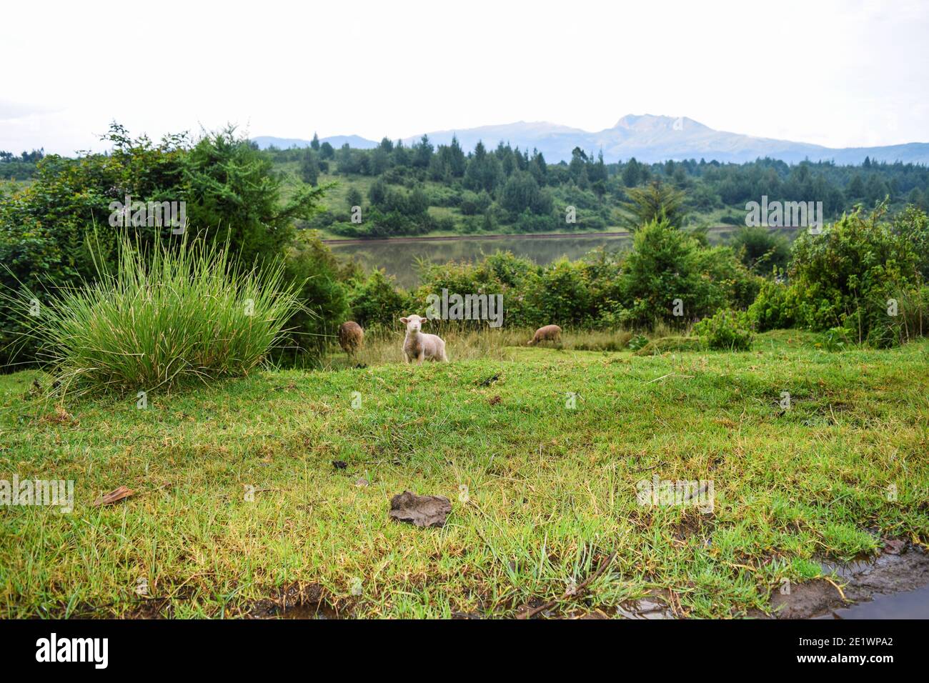 Aberdare ranges hi-res stock photography and images - Alamy